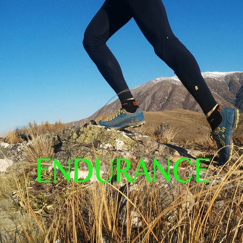 Endurance Range | Leppin Sport