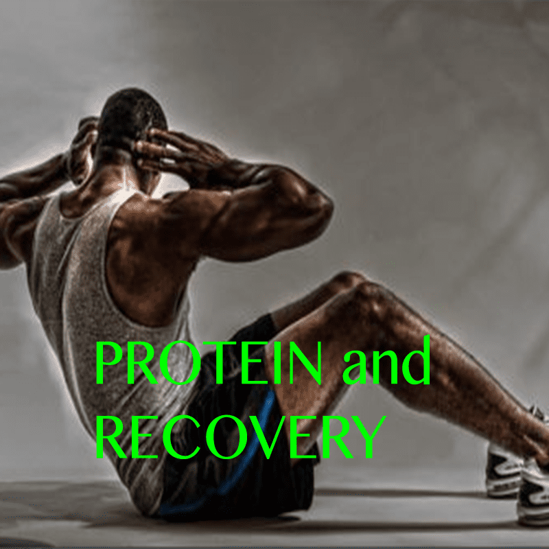 Protein and Muscle Range | Leppin Sport